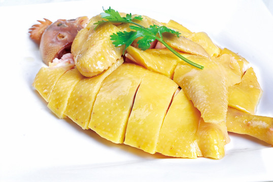 原味鸡图片素材 原味鸡设计素材 原味鸡摄影作品 原味鸡源文件下载 原味鸡图片素材下载 原味鸡背景素材 原味鸡模板下载 搜索中心